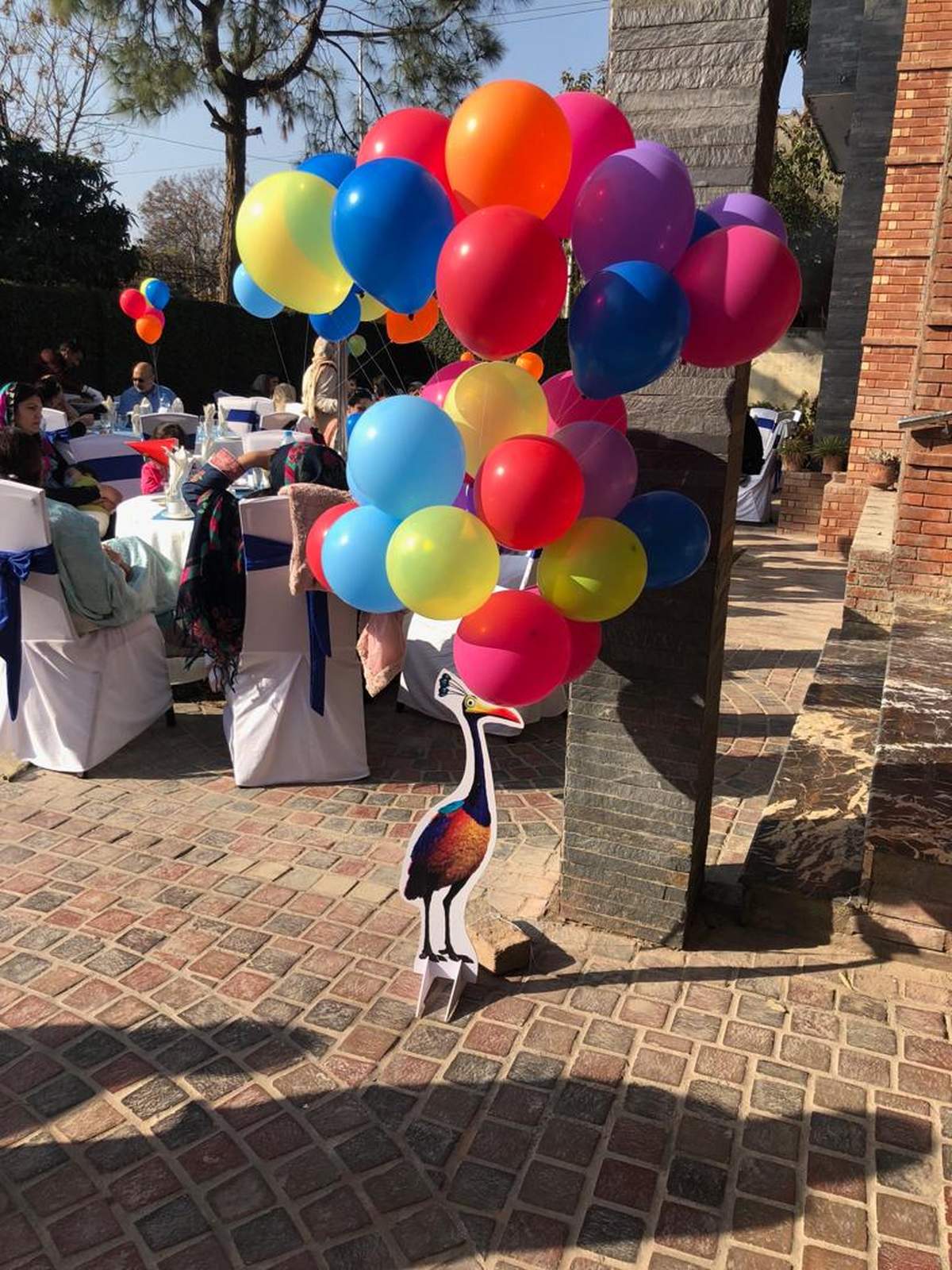 Up Movie Birthday Party Ideas | Photo 1 of 12 | Catch My Party