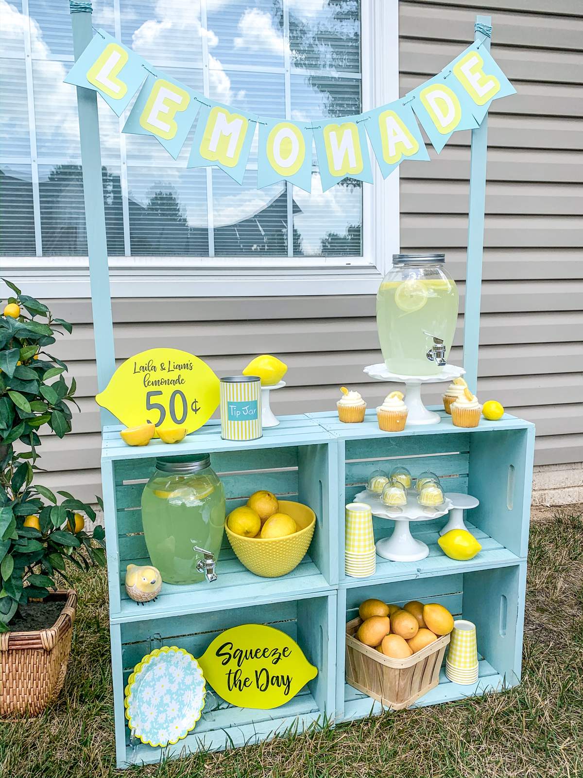 Lemonade / Lemons Summer Party Ideas | Photo 1 of 28 | Catch My Party