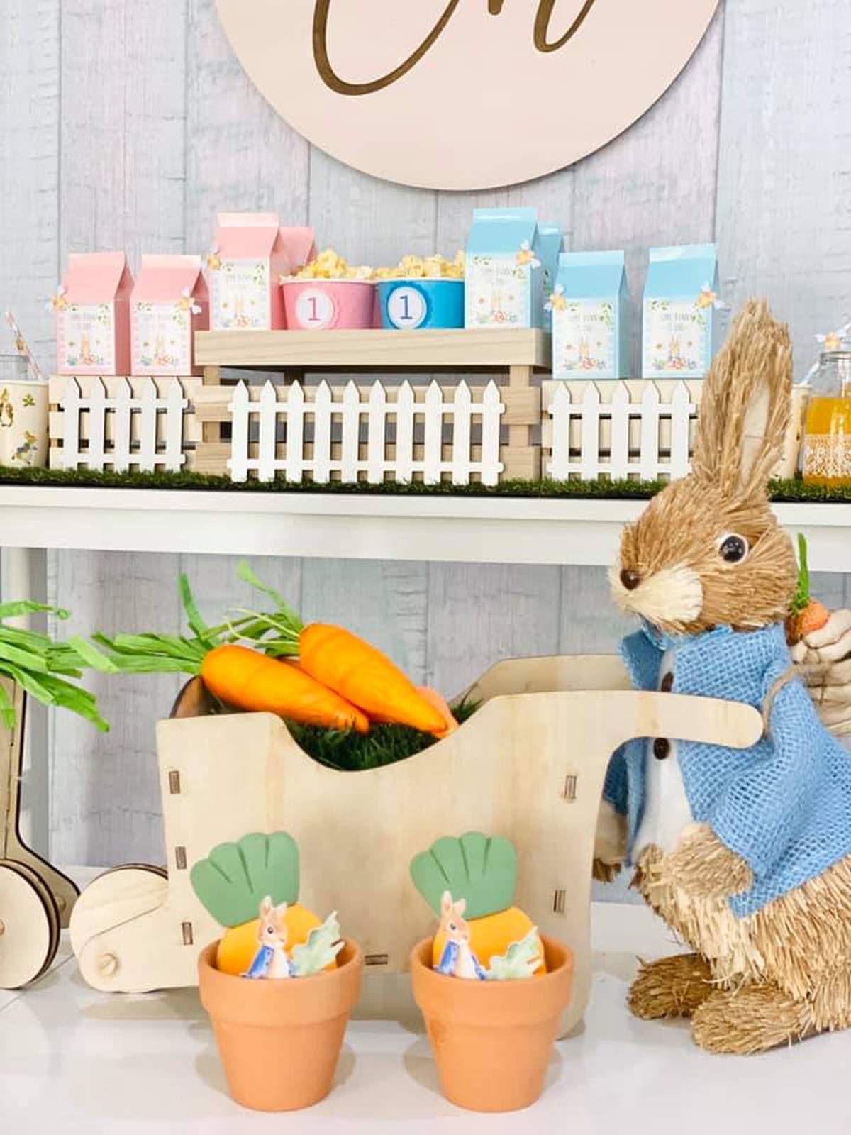 Peter Rabbit Themed Birthday Birthday Party Ideas | Photo 1 of 21 ...