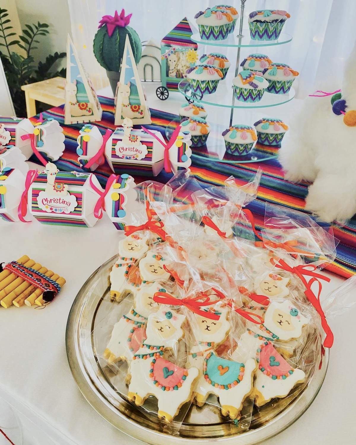 Peruvian llama party Birthday Party Ideas | Photo 2 of 7 | Catch My Party