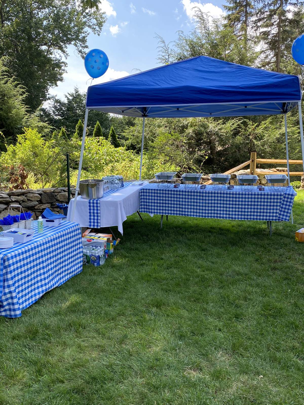Blueberry Birthday Party Ideas | Photo 1 of 37 | Catch My Party
