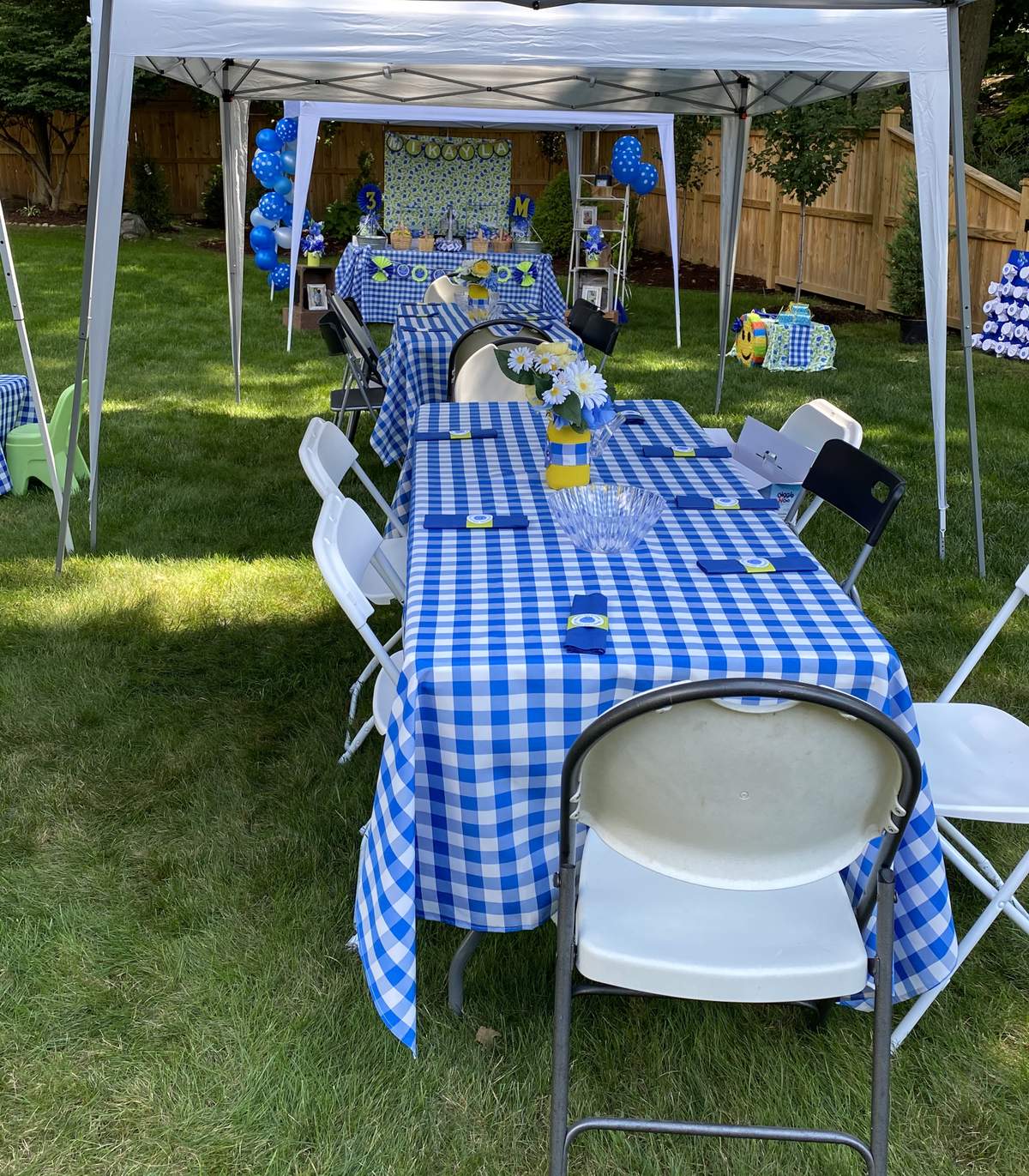 Blueberry Birthday Party Ideas | Photo 1 of 37 | Catch My Party