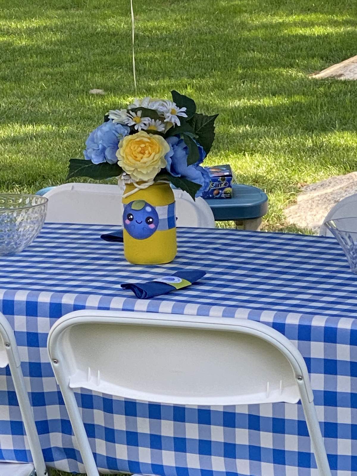 Blueberry Birthday Party Ideas | Photo 1 of 37 | Catch My Party