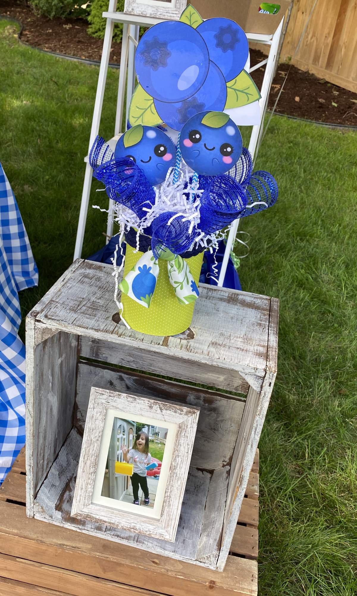 Blueberry Birthday Party Ideas | Photo 1 of 37 | Catch My Party