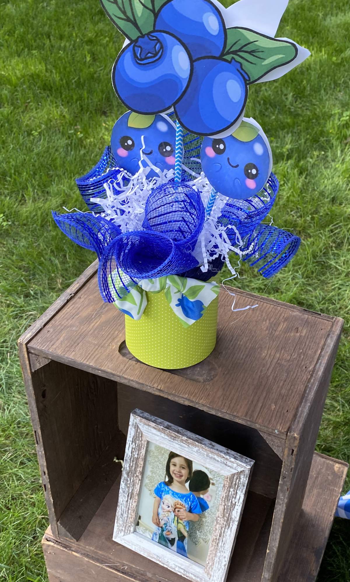 Blueberry Birthday Party Ideas | Photo 1 of 37 | Catch My Party