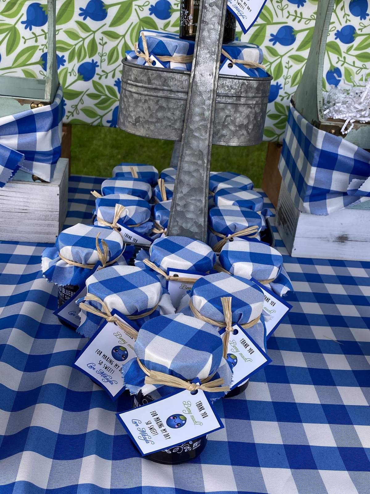 Blueberry Birthday Party Ideas | Photo 1 of 37 | Catch My Party