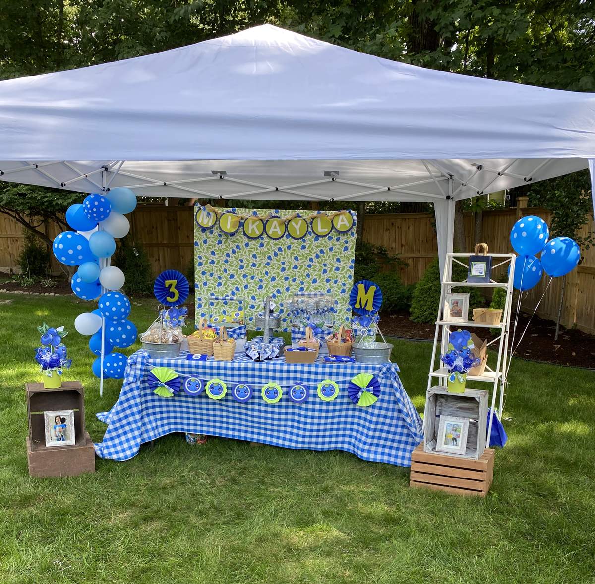 Blueberry Birthday Party Ideas | Photo 1 of 37 | Catch My Party