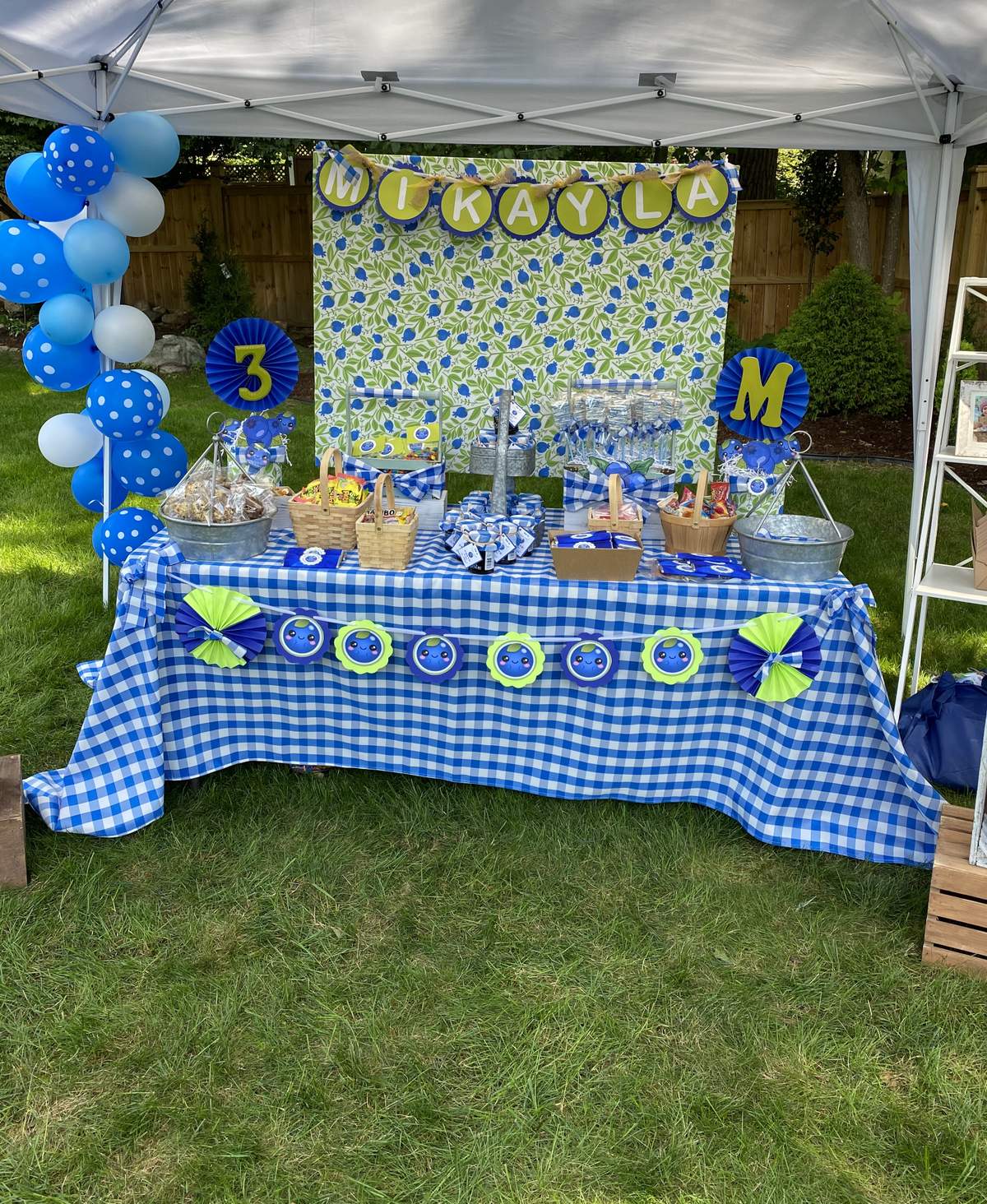 Blueberry / Birthday "Mikayla’s Blueberry Bash" | Catch My Party