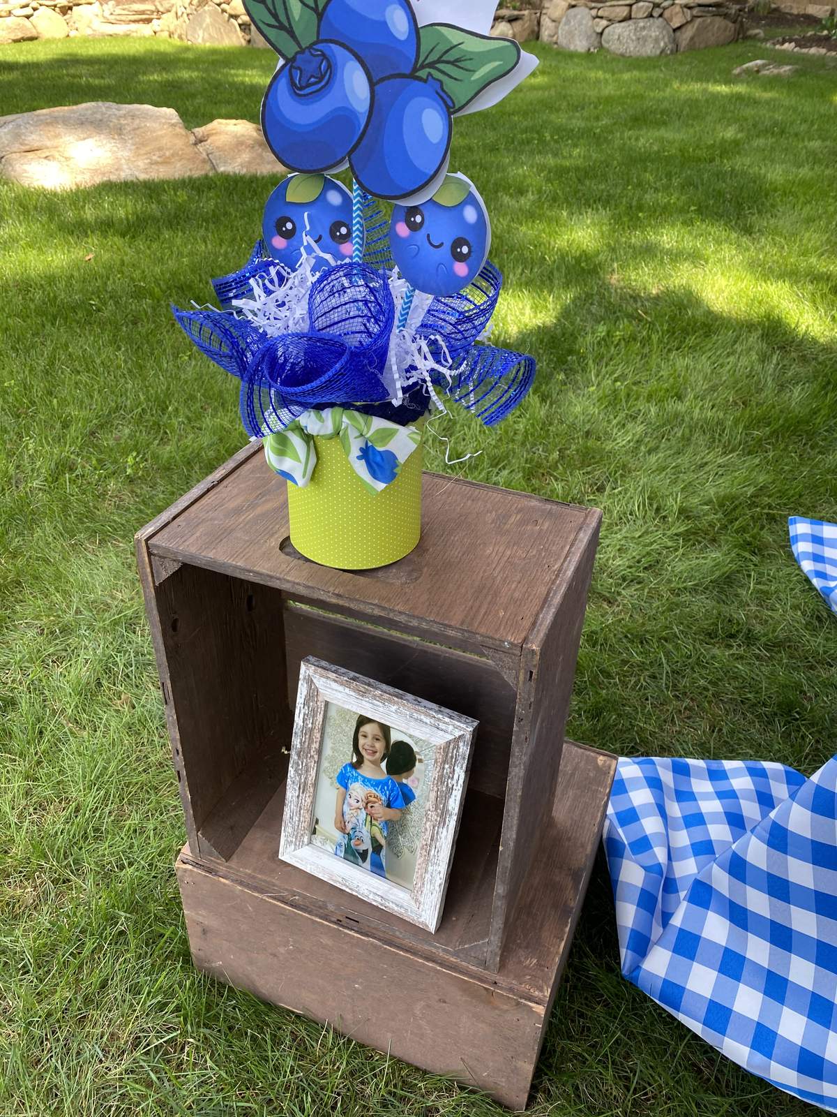 Blueberry Birthday Party Ideas | Photo 1 of 37 | Catch My Party