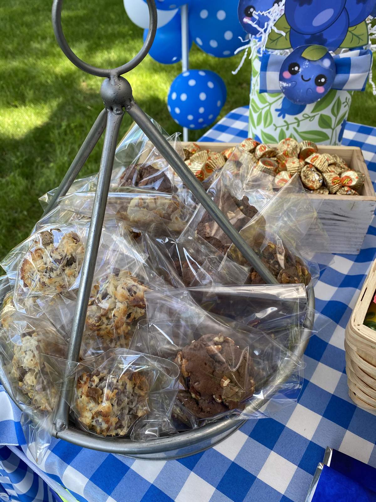 Blueberry Birthday Party Ideas | Photo 1 of 37 | Catch My Party