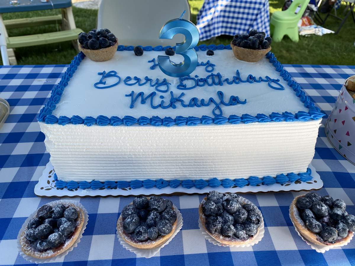 Blueberry Birthday Party Ideas | Photo 1 of 37 | Catch My Party