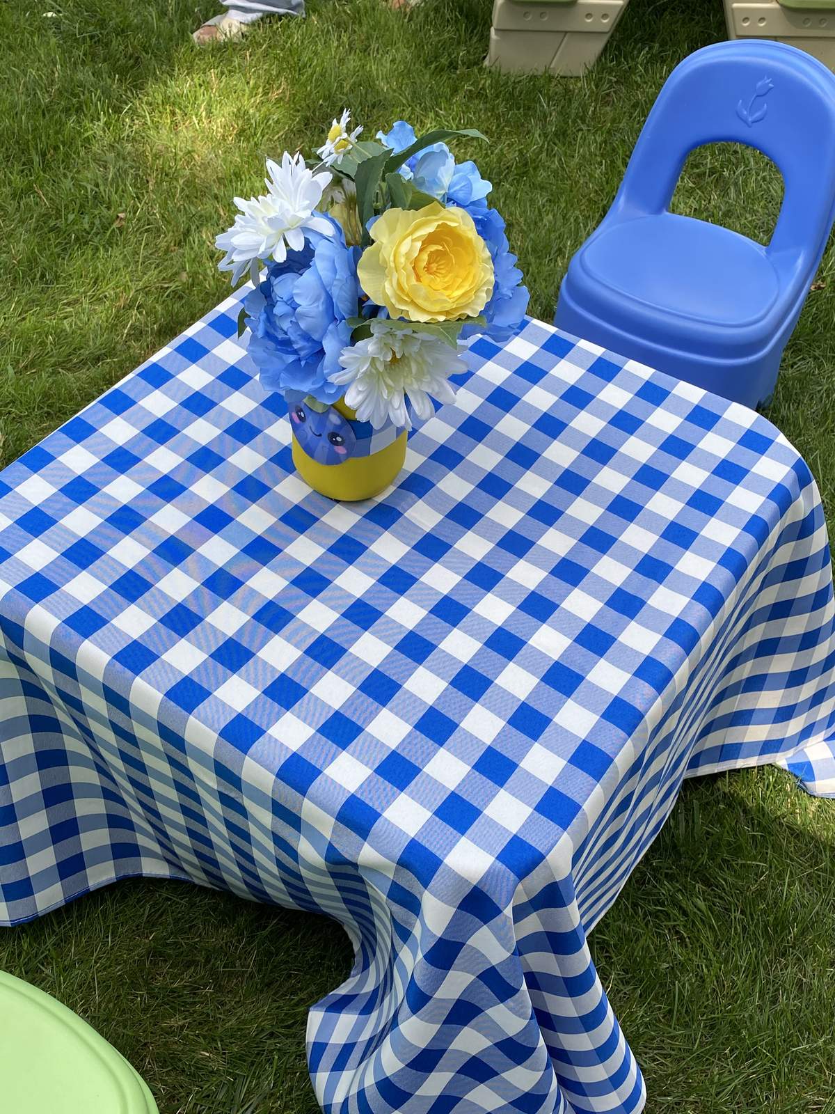 Blueberry Birthday Party Ideas | Photo 1 of 37 | Catch My Party