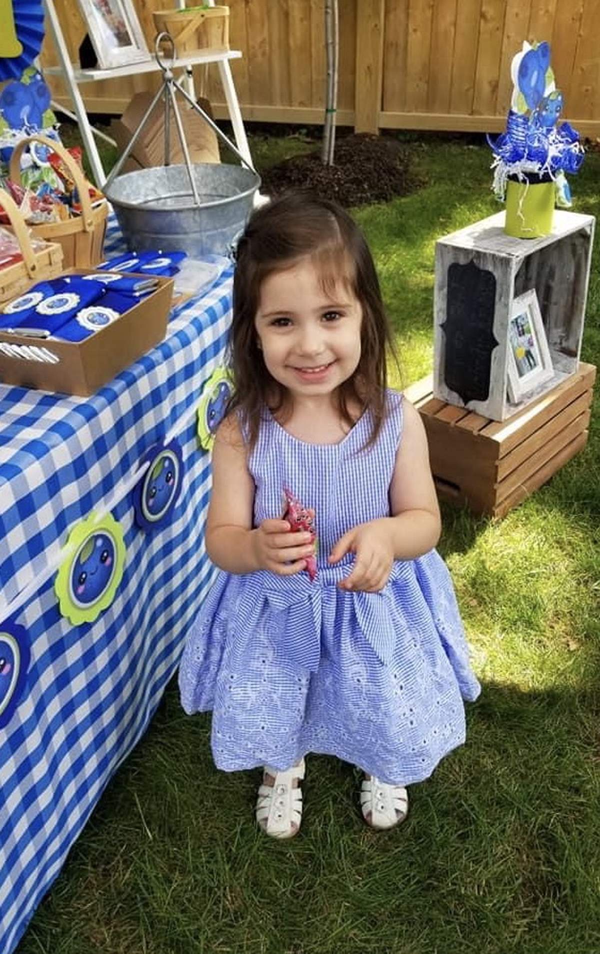 Blueberry Birthday Party Ideas | Photo 1 of 37 | Catch My Party