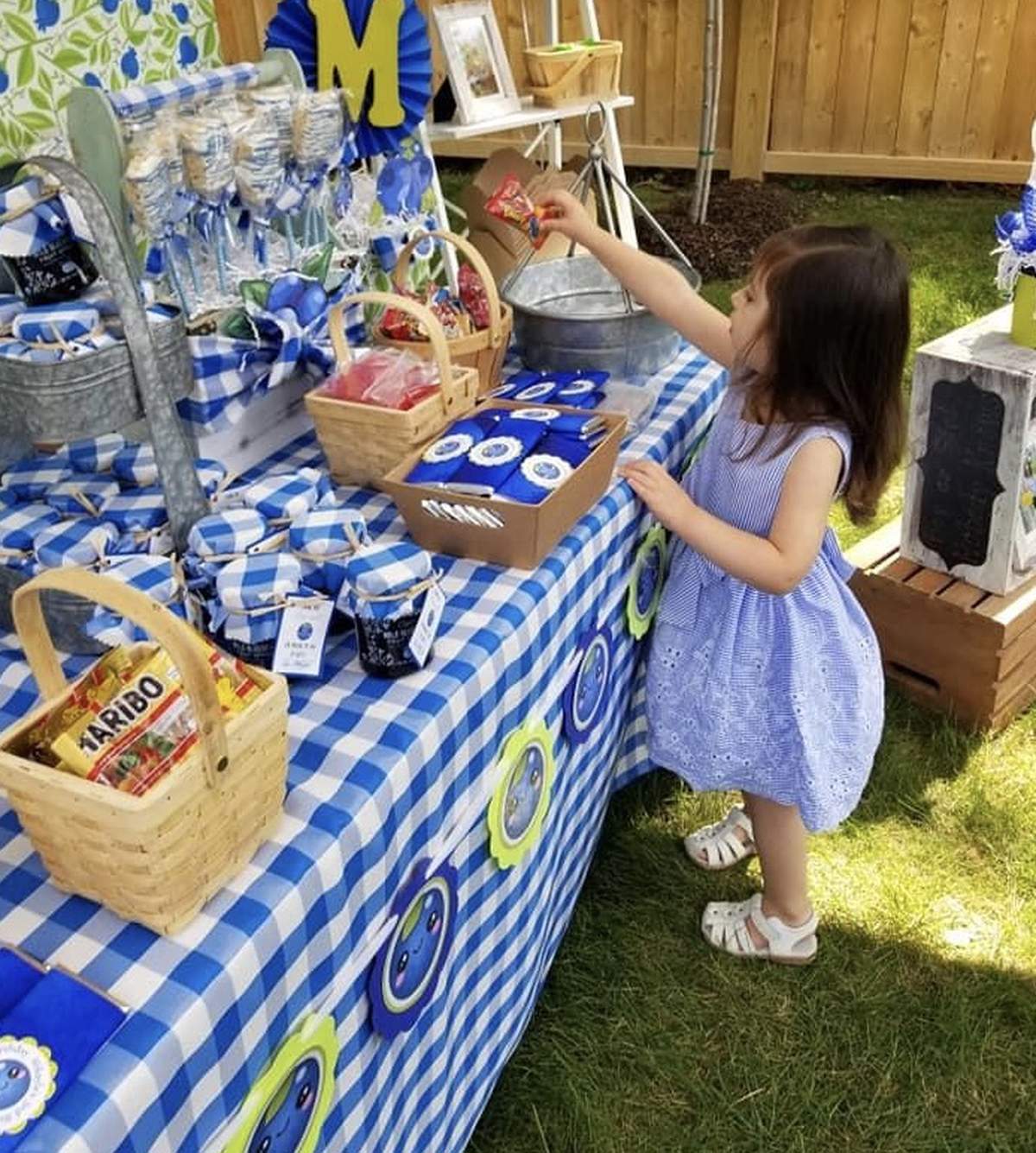 Blueberry Birthday Party Ideas | Photo 1 of 37 | Catch My Party