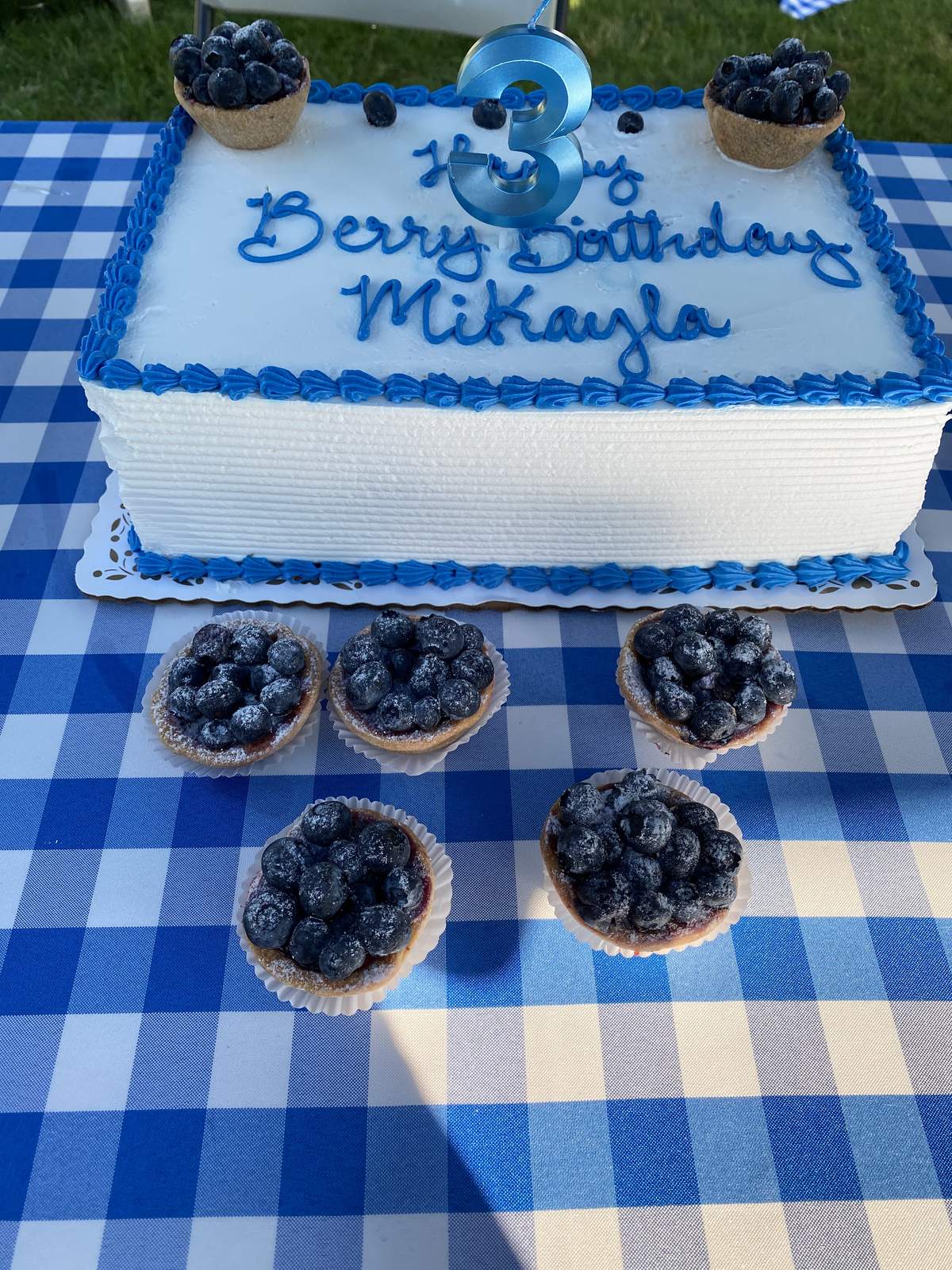 Blueberry Birthday Party Ideas | Photo 16 of 37 | Catch My Party