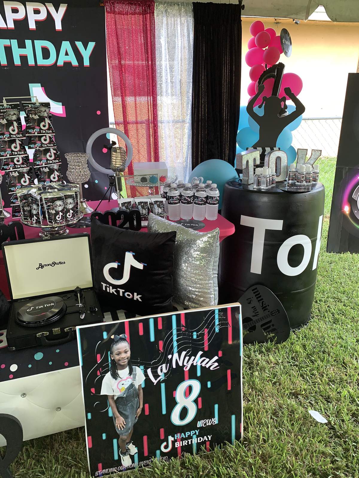 Tik Tok Birthday Party Ideas | Photo 2 of 13 | Catch My Party