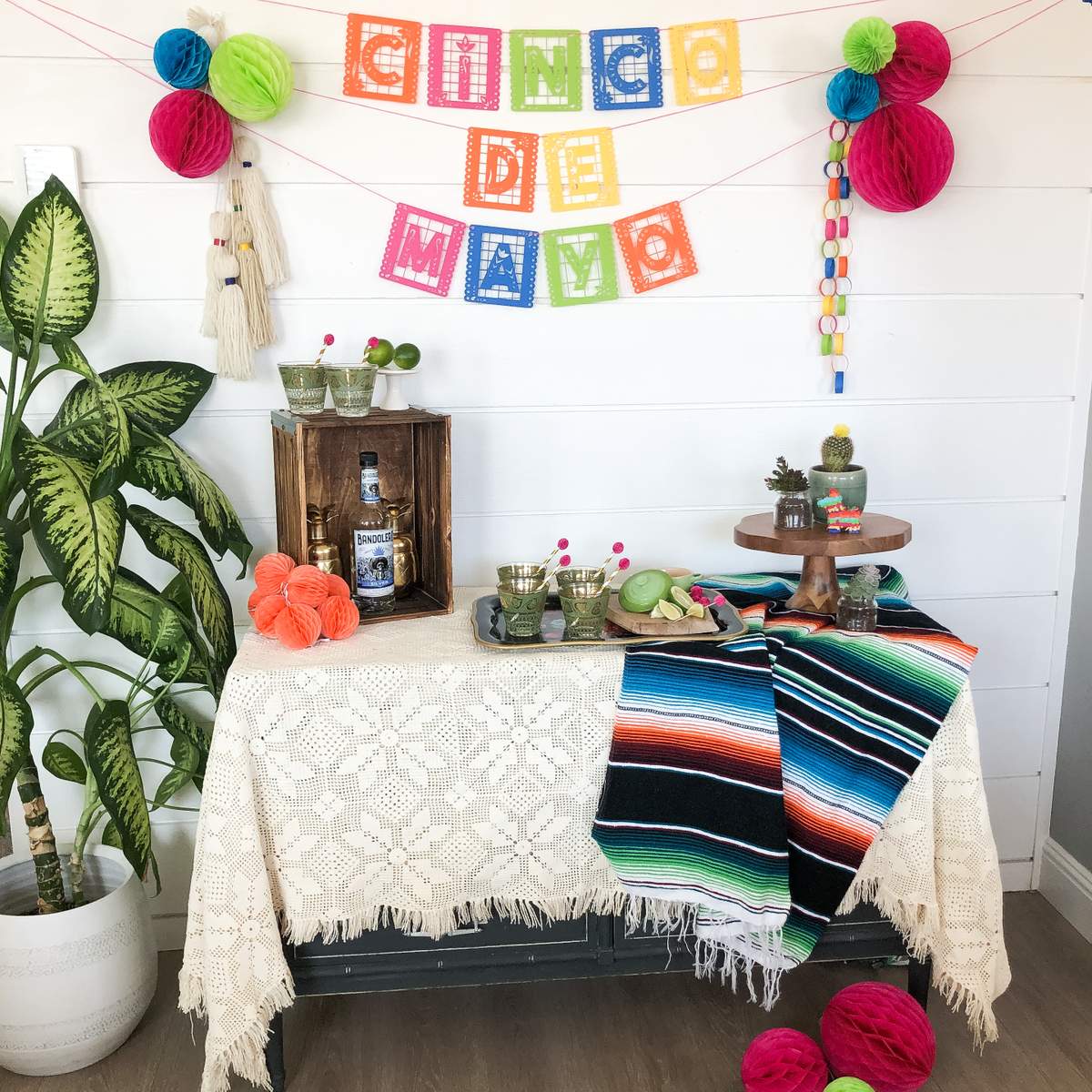 Fiesta / Mexican / Cinco De Mayo "Cinco De Mayo Fiesta" | Catch My Party