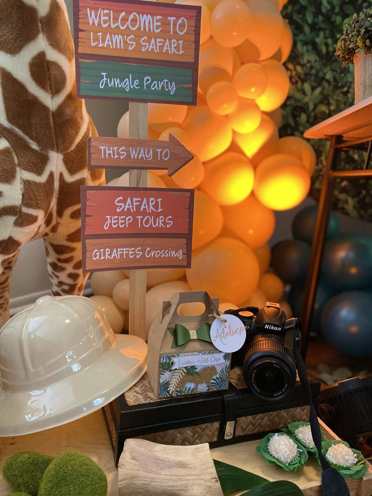 Wild One Safari Birthday Party Ideas | Photo 13 of 19 | Catch My Party