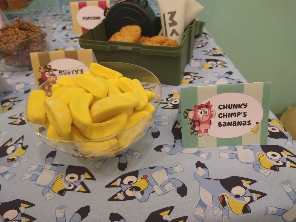 Bluey Birthday Party Ideas Photo 15 Of 34 Catch My Party
