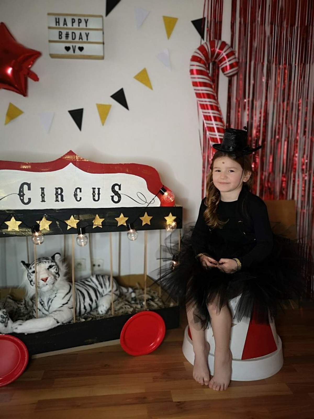 Circus / Carnival / Birthday "Circus Birthday party teme" | Catch My Party