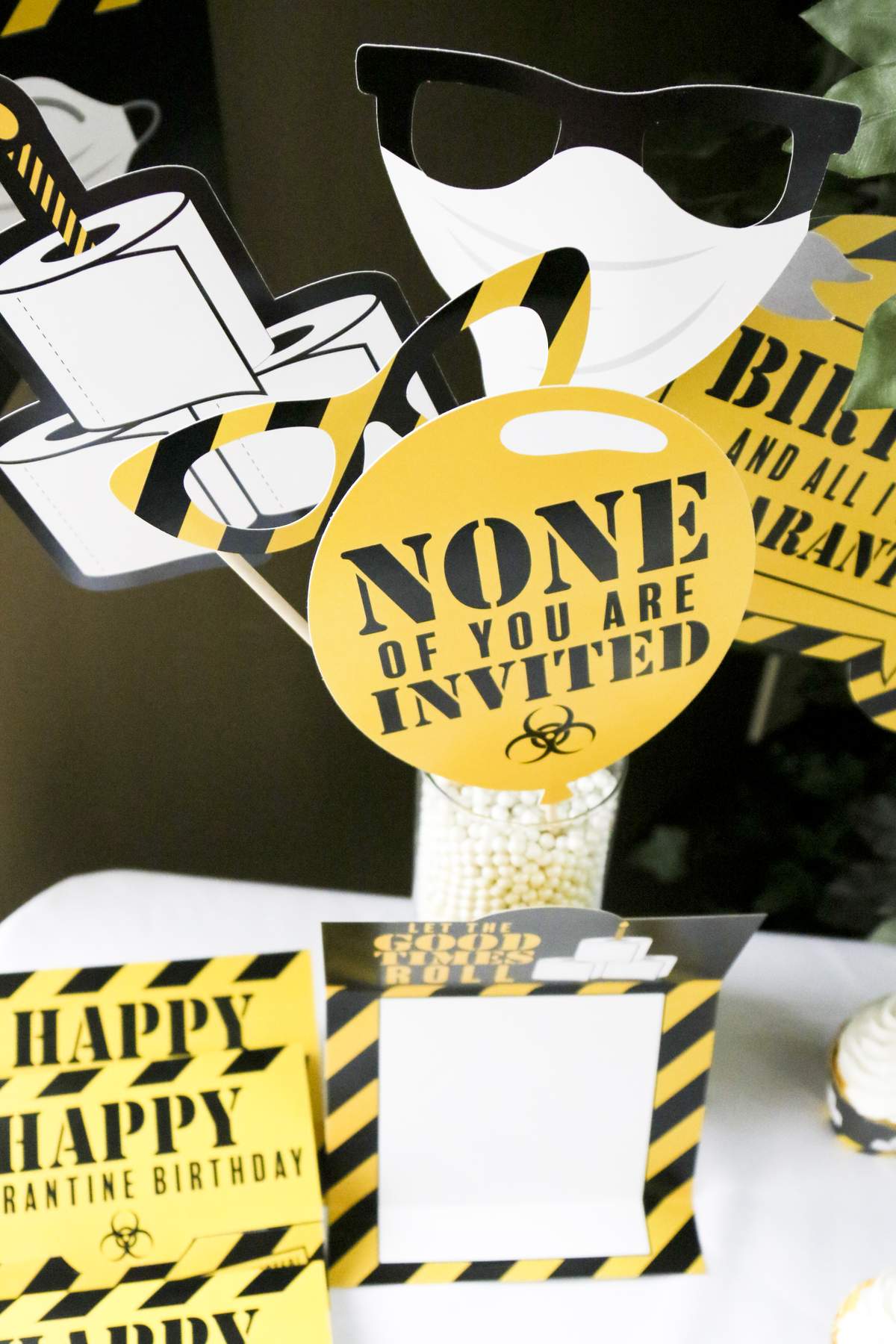 Quarantine Birthday Birthday Party Ideas | Photo 10 of 13 | Catch My Party