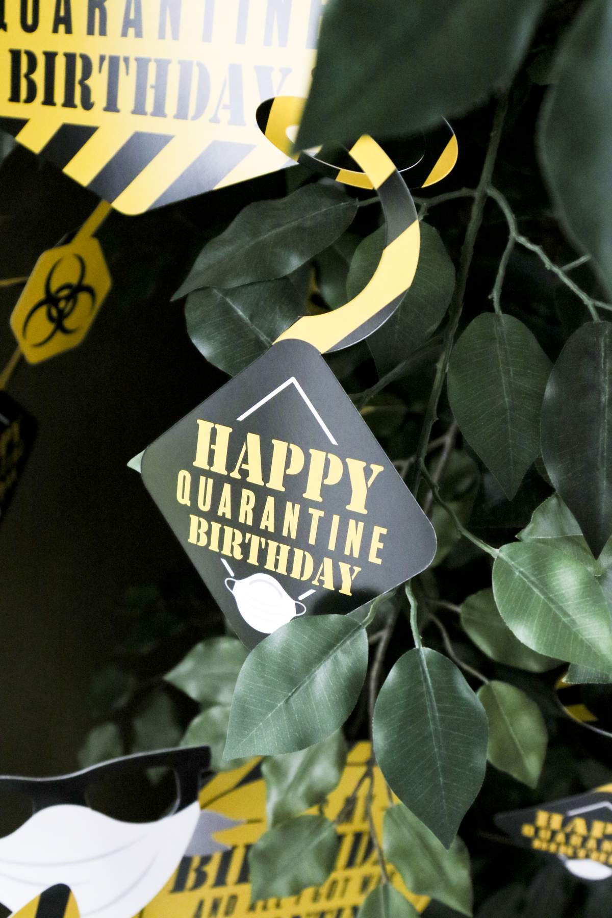 Quarantine Birthday Birthday Party Ideas | Photo 10 of 13 | Catch My Party