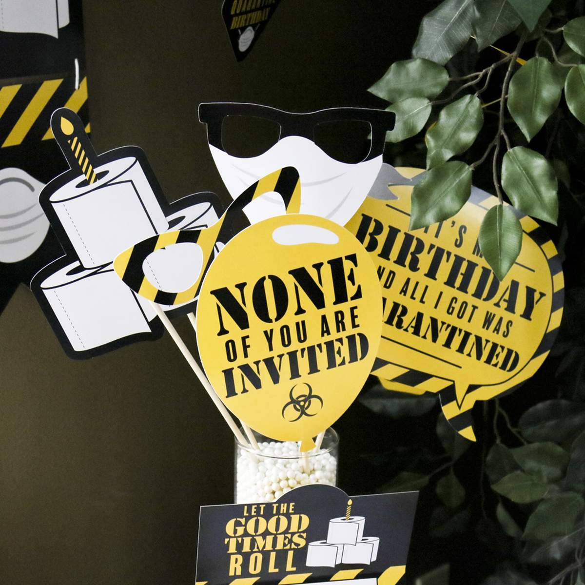 Quarantine Birthday Birthday Party Ideas | Photo 10 of 13 | Catch My Party
