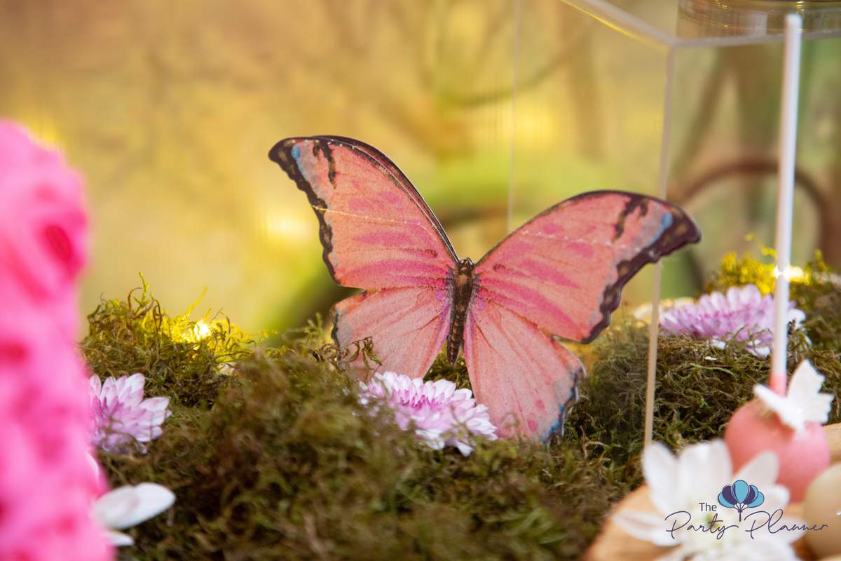 Princess Enchanted Forest Birthday Party Ideas | Photo 1 of 14 | Catch ...