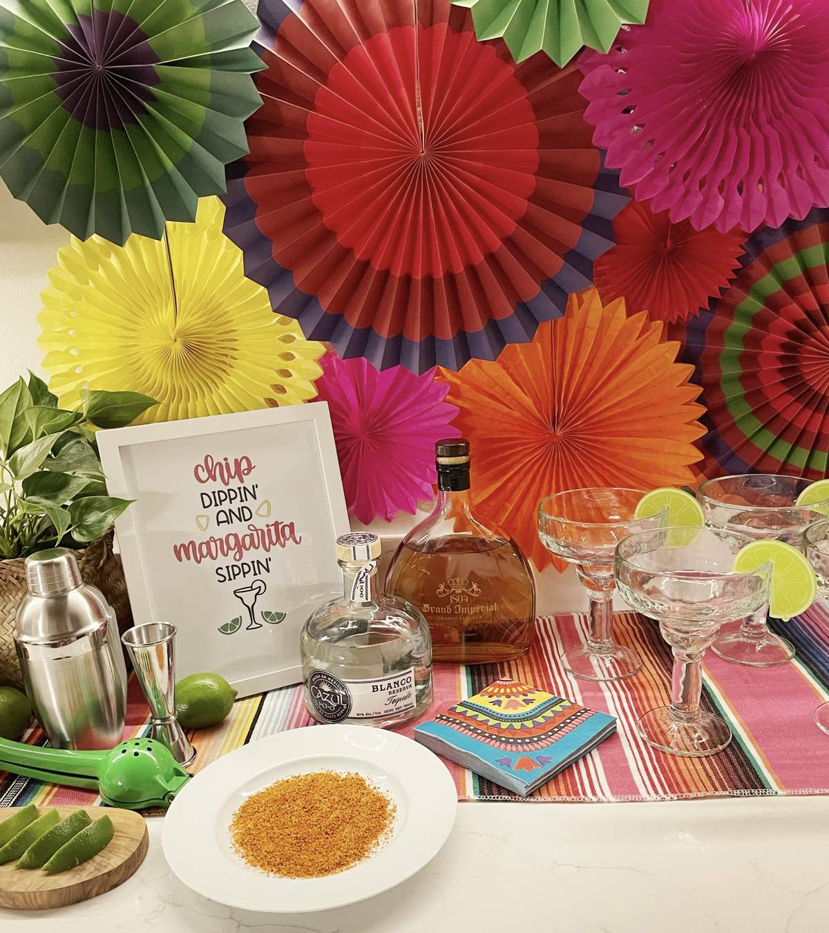 Cinco de Mayo Cinco de Mayo Party Ideas | Photo 5 of 19 | Catch My Party