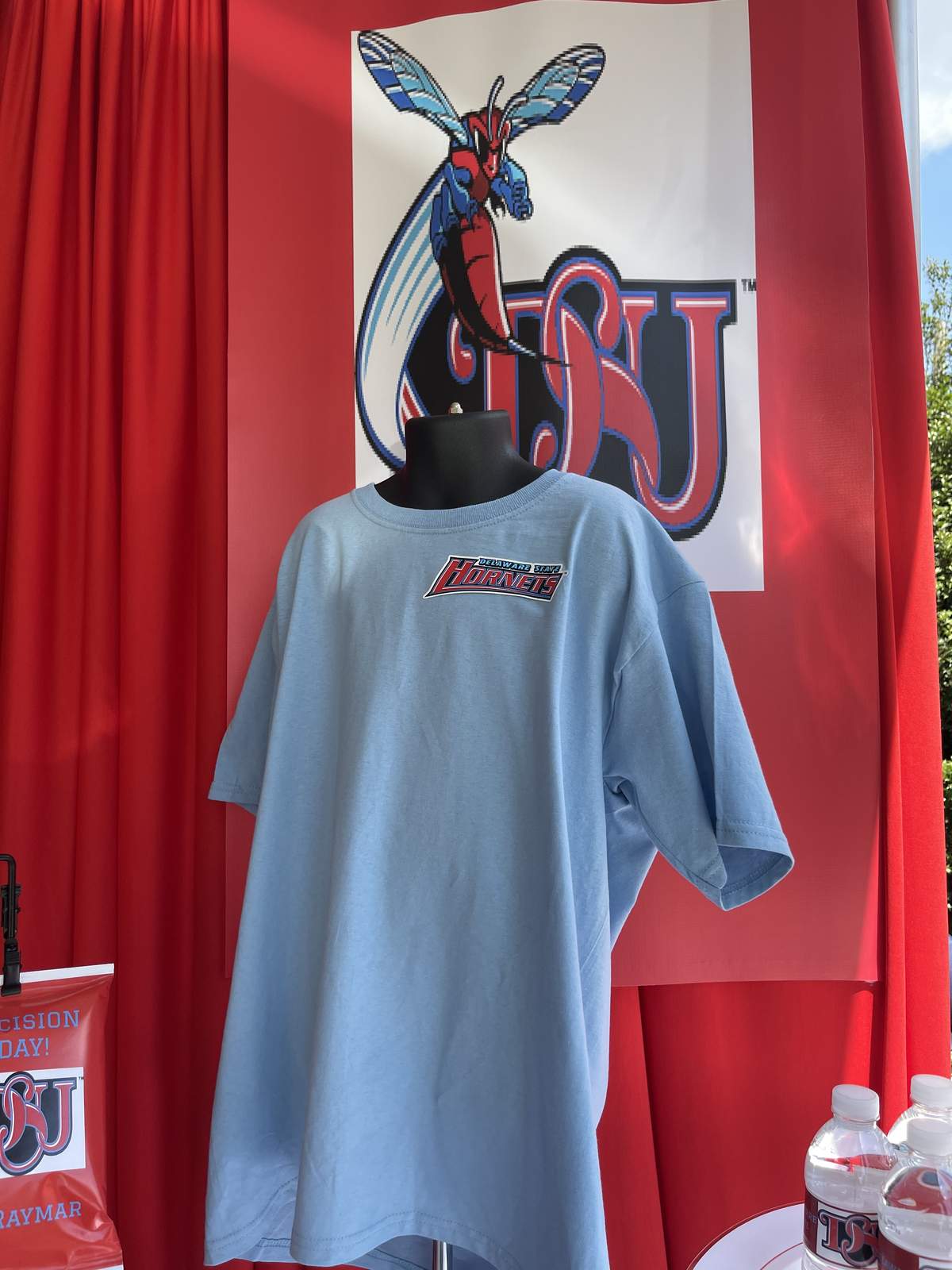 College Decision College Reveal (College Decision Day) Party Ideas ...