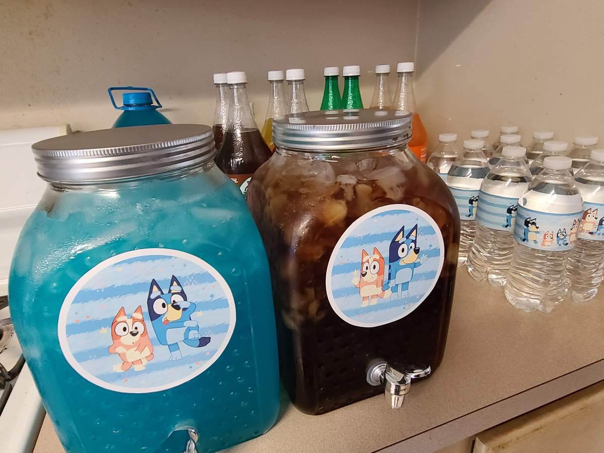 Bluey Birthday Party Ideas | Photo 1 of 21 | Catch My Party