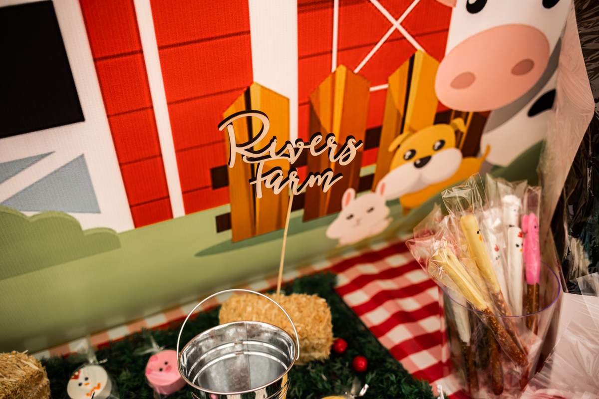 Barnyard Birthday Party Ideas | Photo 13 of 25 | Catch My Party