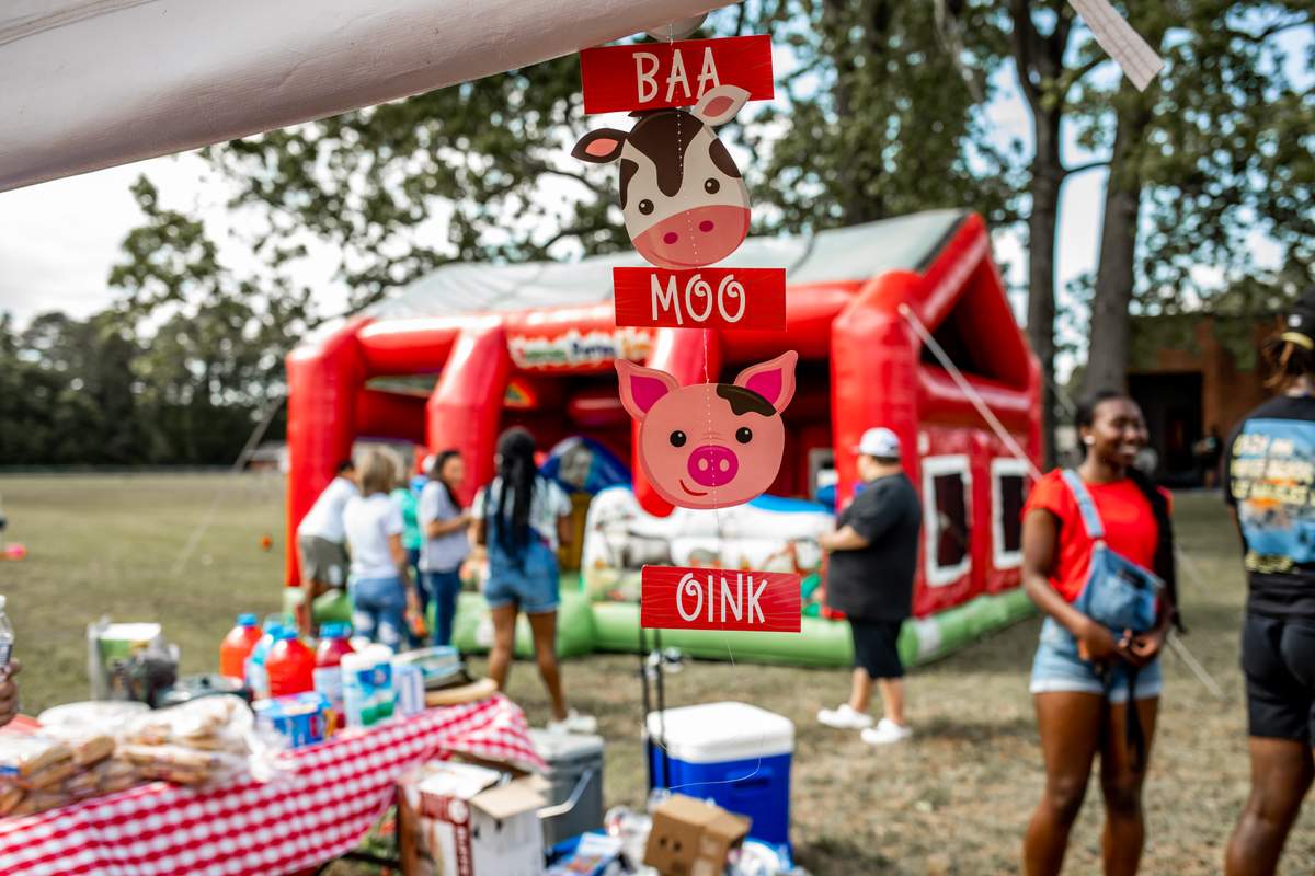 Barnyard Birthday Party Ideas | Photo 13 of 25 | Catch My Party