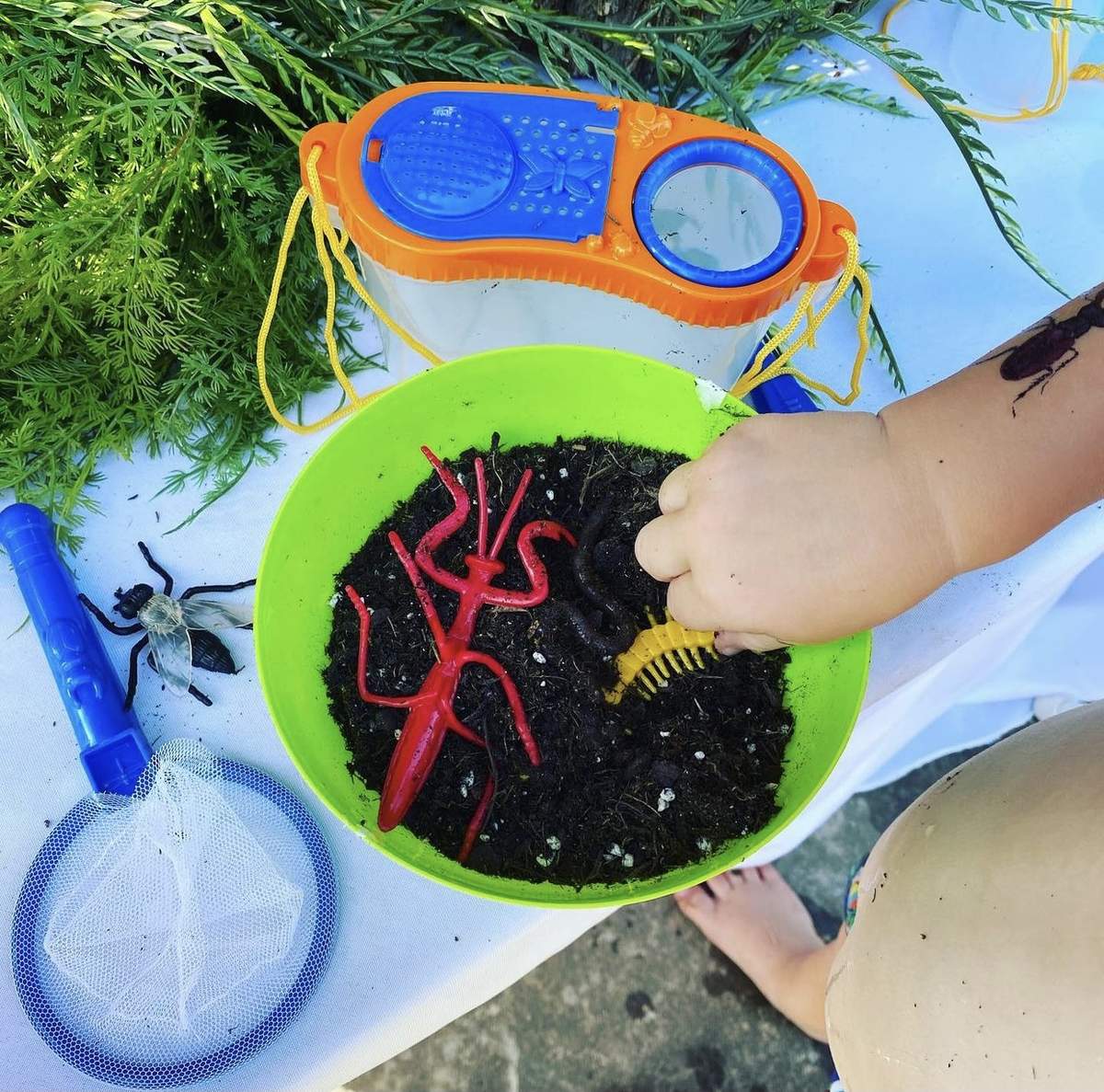 Bug Party Birthday Party Ideas | Photo 1 of 11 | Catch My Party