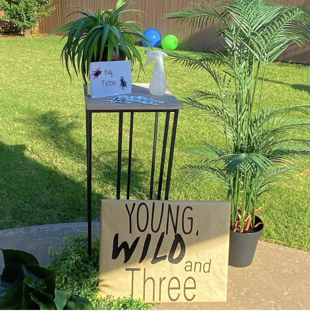 Bug Party Birthday Party Ideas | Photo 1 of 11 | Catch My Party