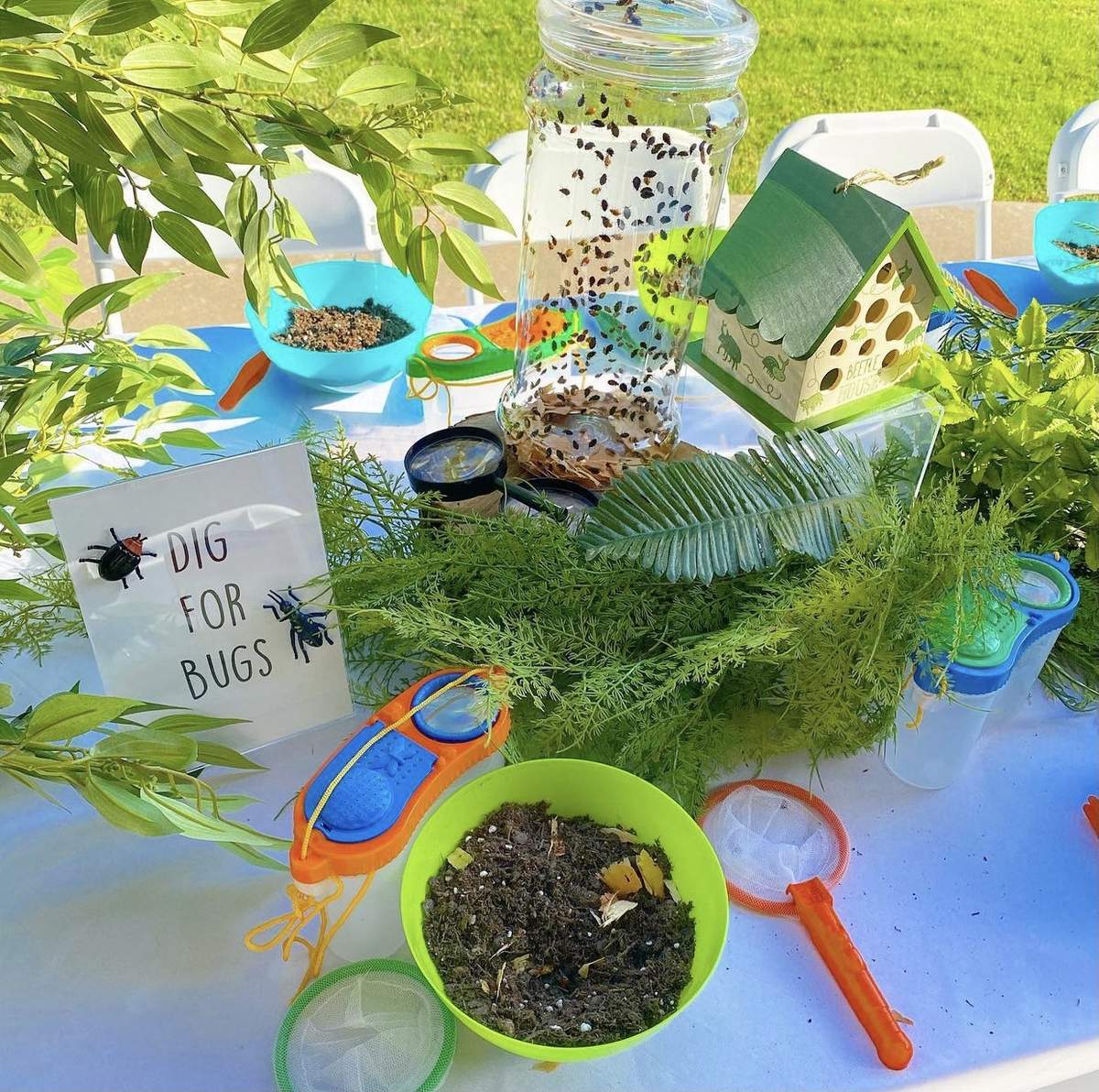 Bug Party Birthday Party Ideas | Photo 2 of 11 | Catch My Party