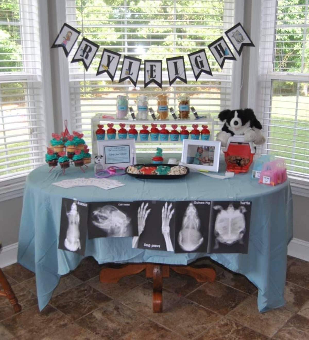 “Animal Doctor” -Vet Birthday Party Ideas | Photo 8 of 24 | Catch My Party