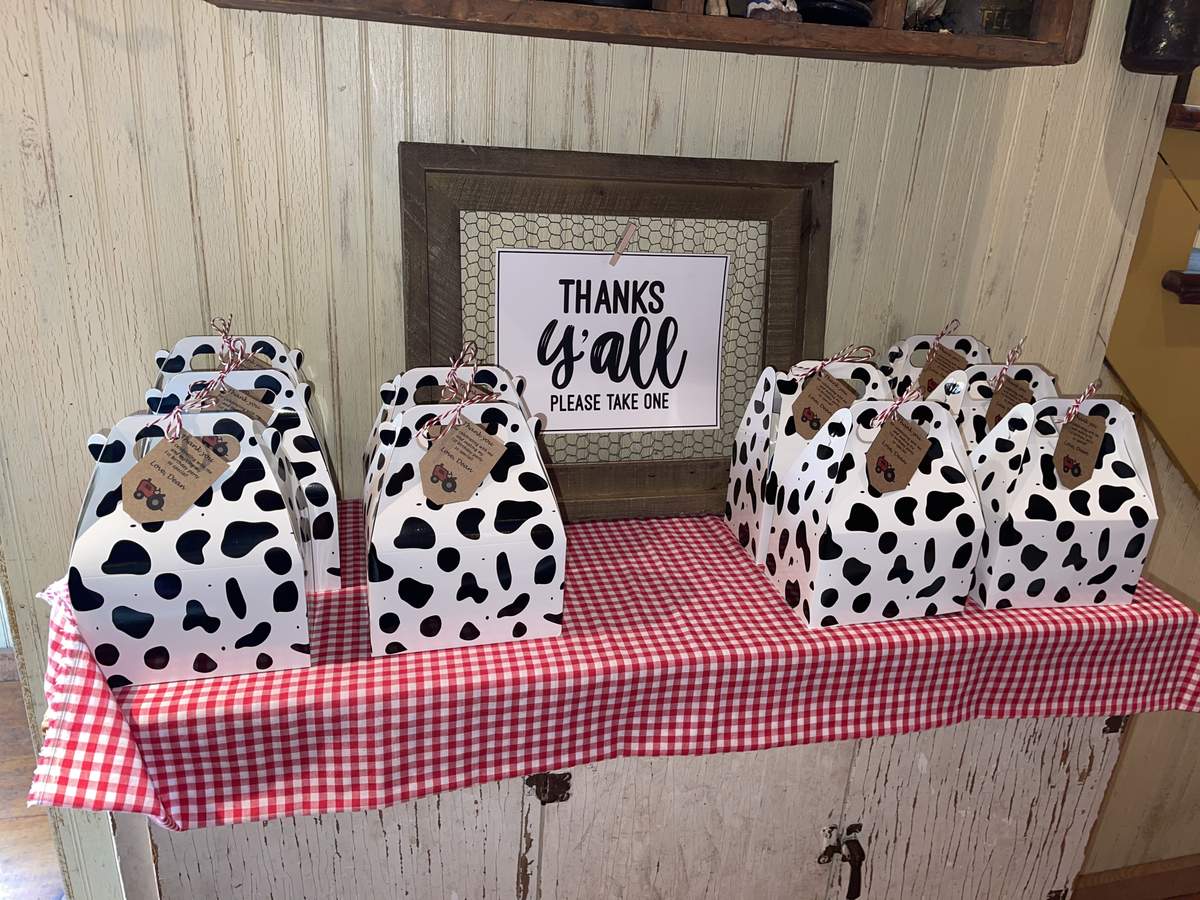 Barnyard Bash Birthday Party Ideas | Photo 3 of 23 | Catch My Party