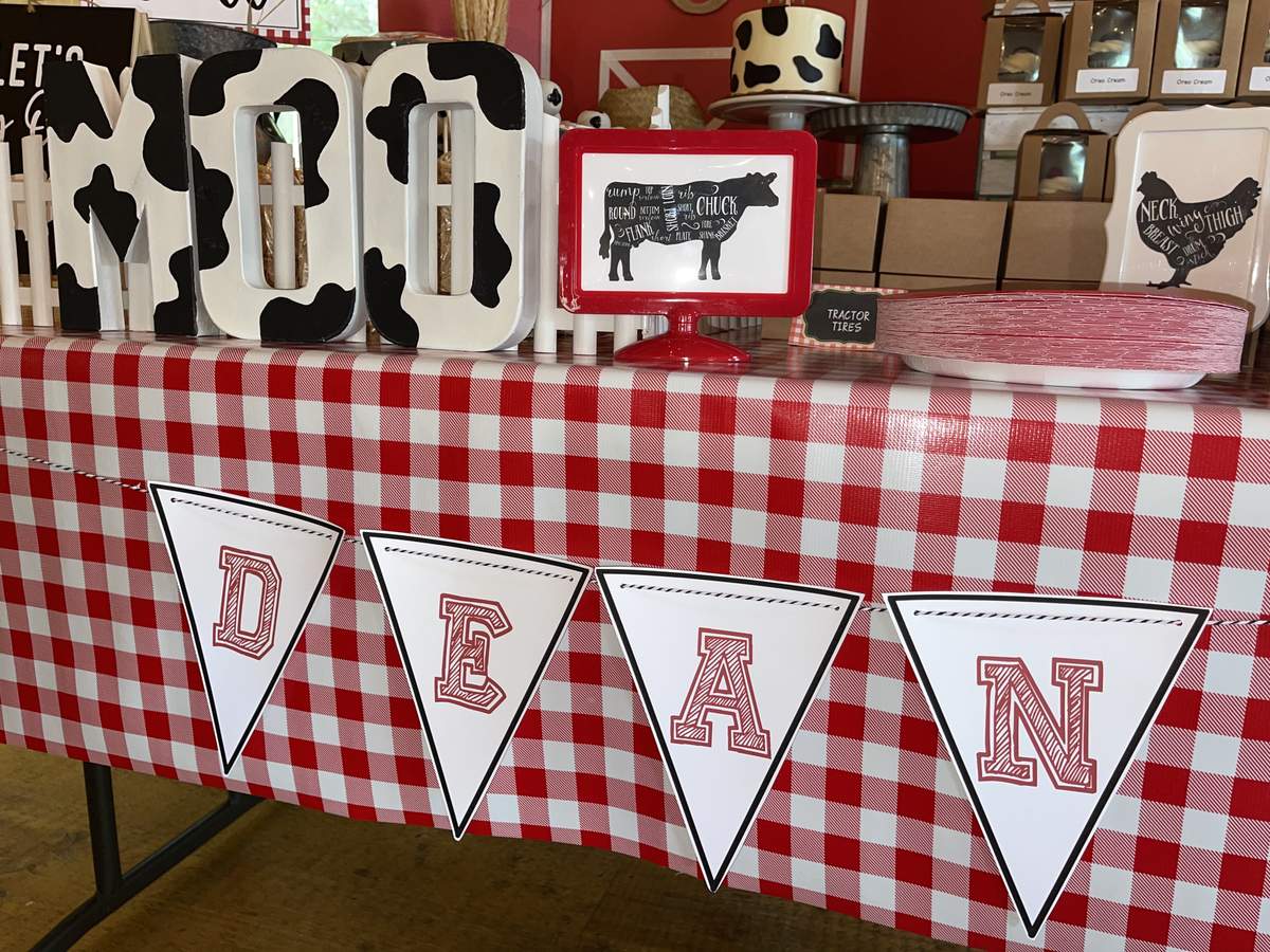 Barnyard Bash Birthday Party Ideas | Photo 3 of 23 | Catch My Party