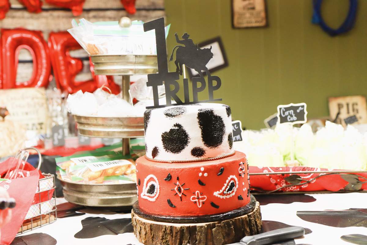 Western Birthday Party Ideas | Photo 13 of 96 | Catch My Party