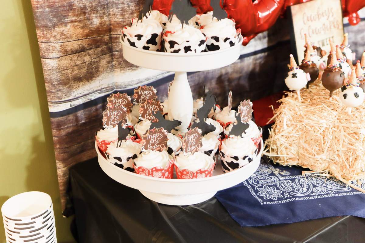 Western Birthday Party Ideas | Photo 13 of 96 | Catch My Party