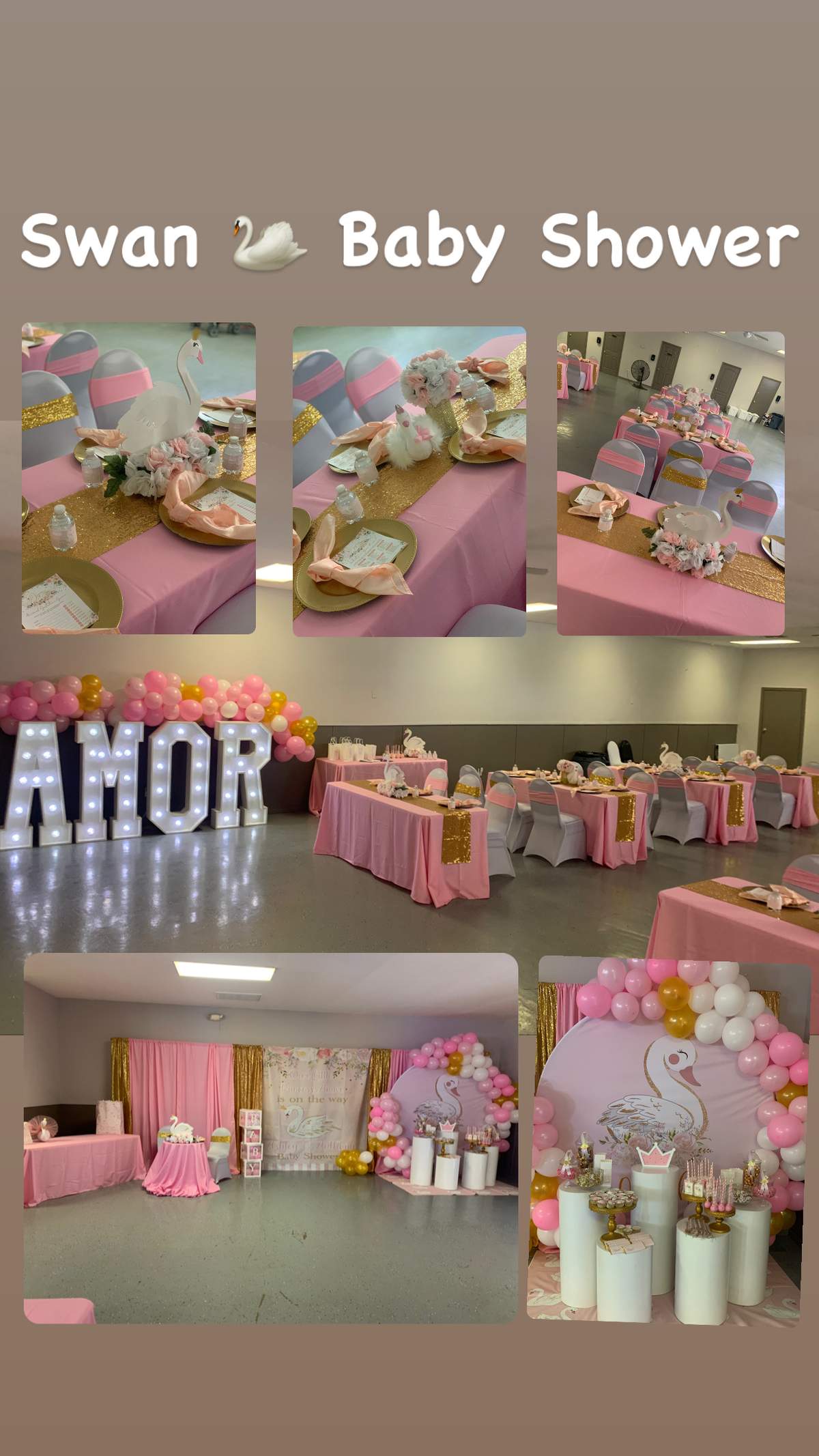 Swan Baby Shower / Baby Shower "Swan " | Catch My Party