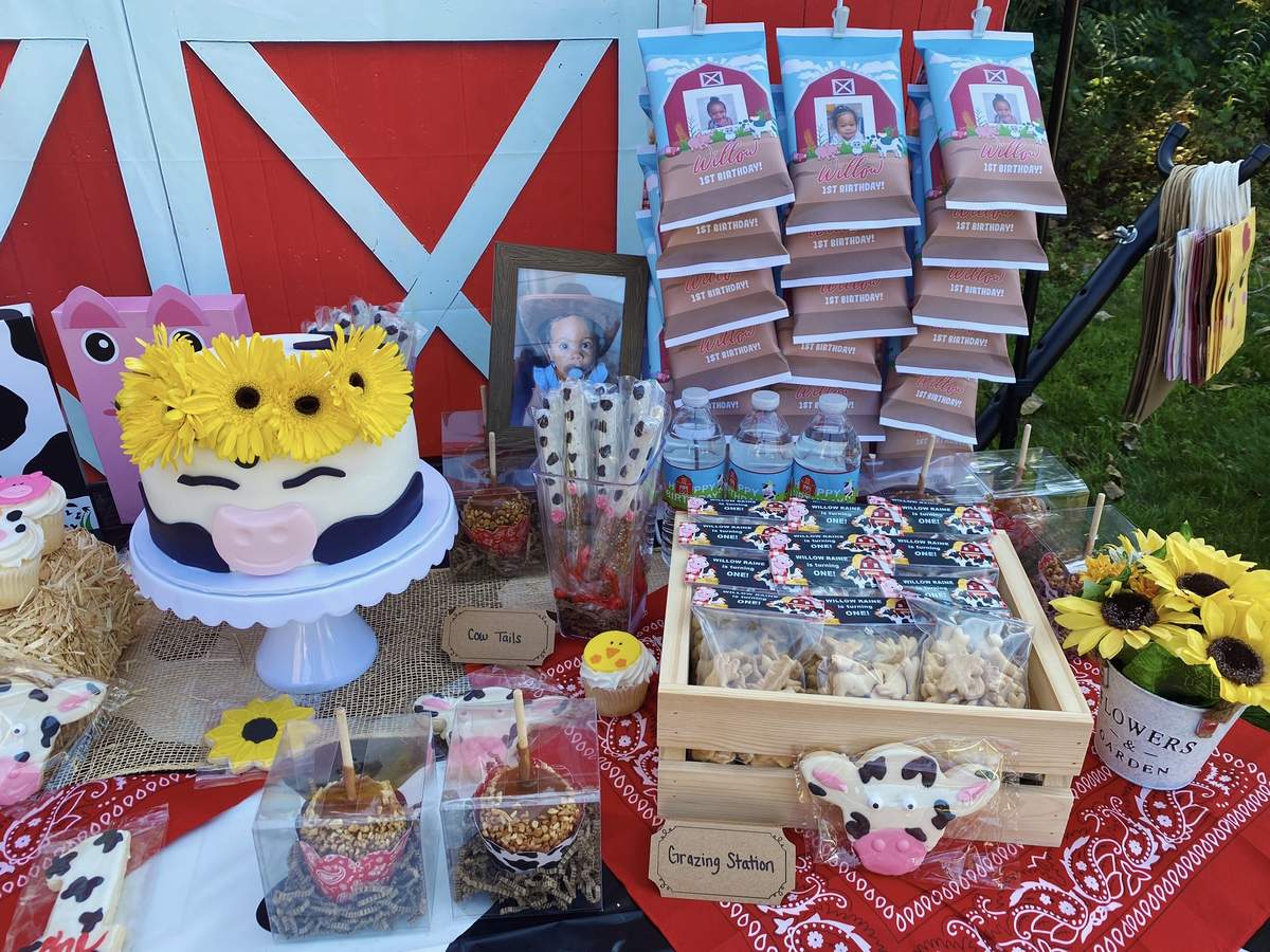 Farm Birthday Party Ideas | Photo 19 of 29 | Catch My Party