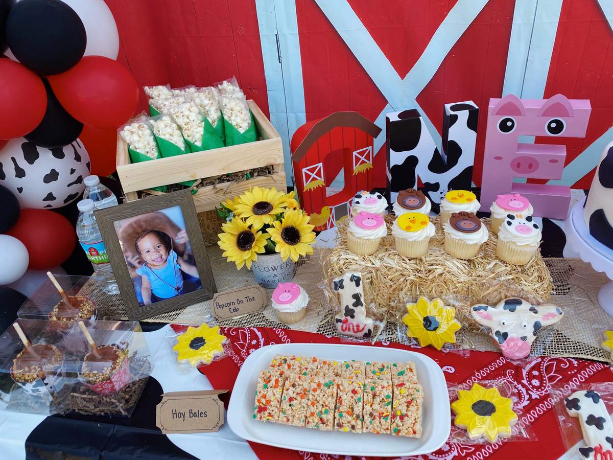 Farm / Birthday "Willow’s Farm Party" | Catch My Party