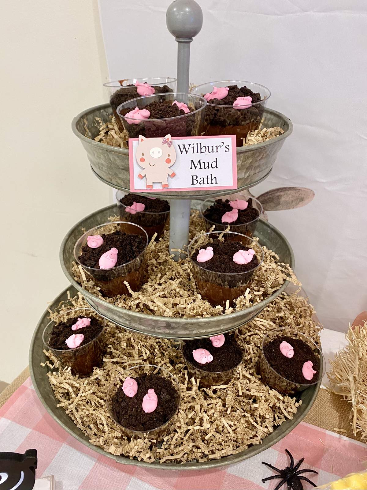 Charlotte’s Web Birthday Party Ideas | Photo 1 of 30 | Catch My Party