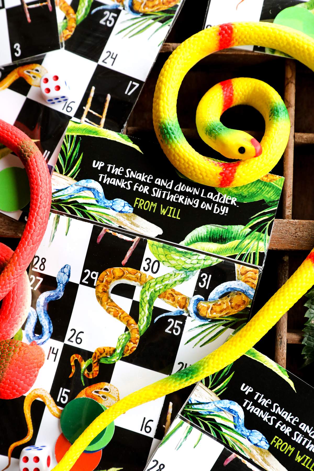 Snake/Reptile Party Birthday Party Ideas | Photo 1 of 16 | Catch My Party