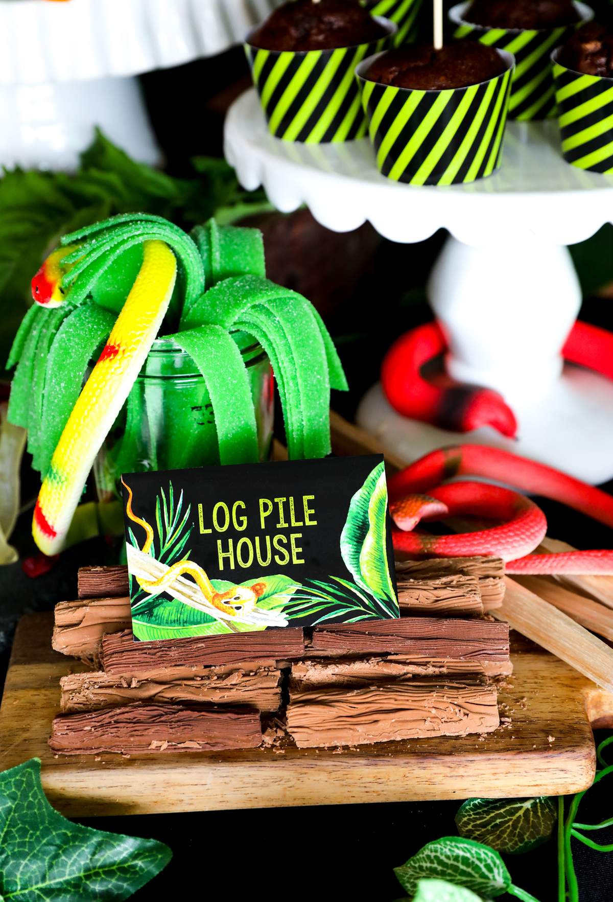 Snake/Reptile Party Birthday Party Ideas | Photo 3 of 16 | Catch My Party