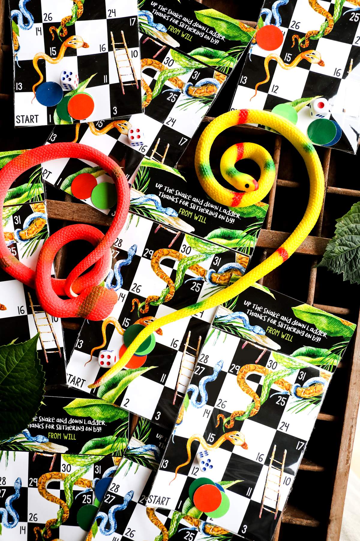 Snake/Reptile Party Birthday Party Ideas | Photo 2 of 16 | Catch My Party