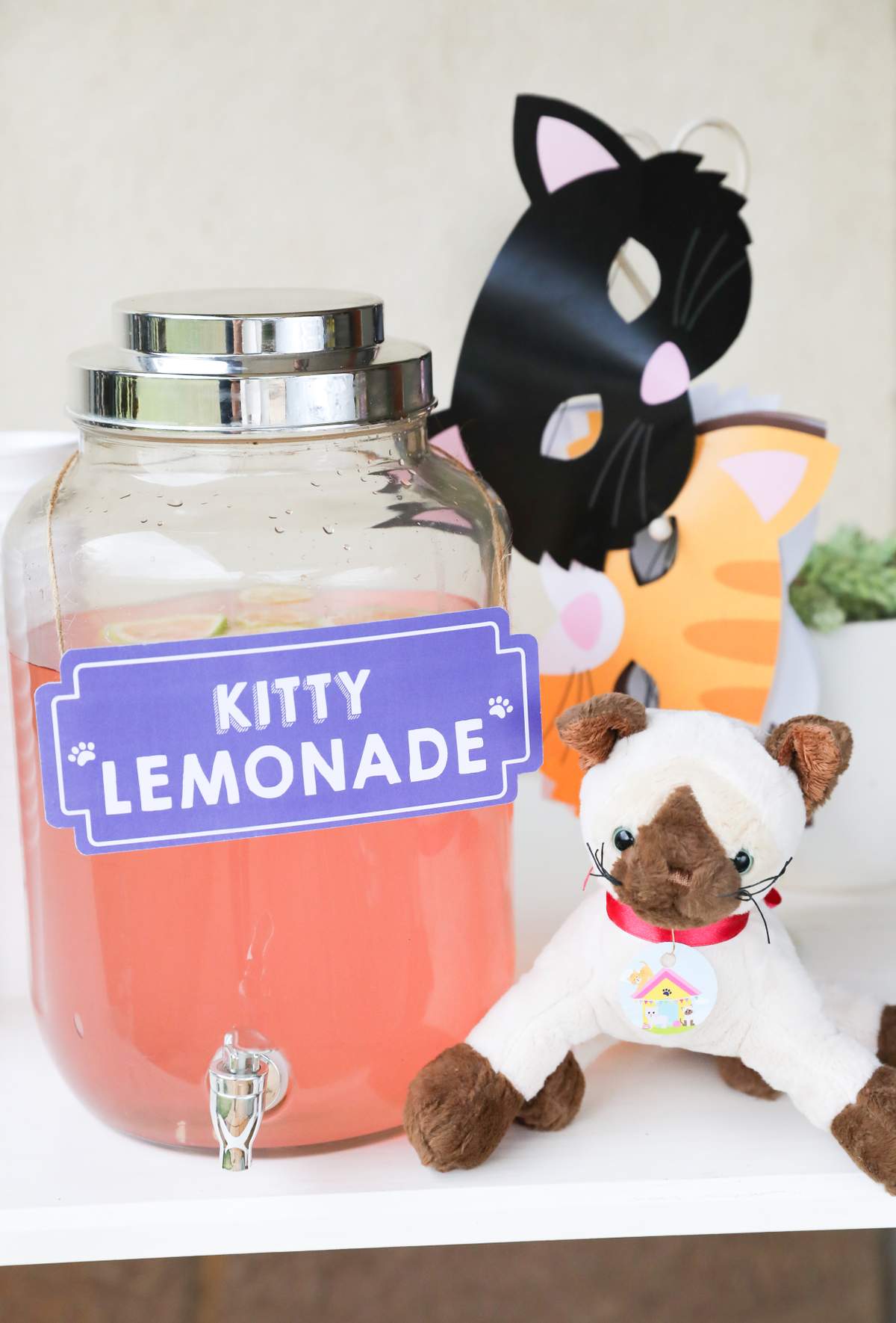 Kitty Cat Adoption Party Birthday Party Ideas | Photo 13 of 16 | Catch ...