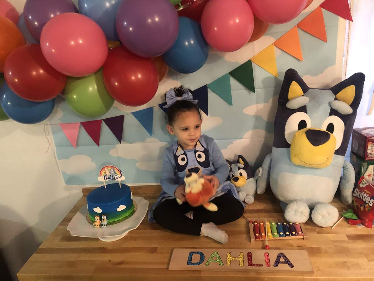 Bluey Birthday Party Ideas | Photo 12 of 17 | Catch My Party